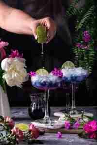 Simple Butterfly Pea Flower Cocktail Recipe