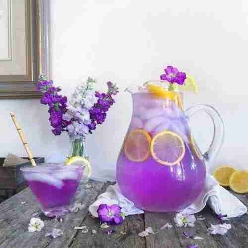 Simple Butterfly Pea Flower Cocktail Recipe
